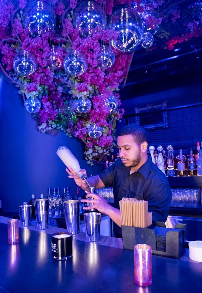 Daphne | NYC | Free VIP Bottle Service Planning